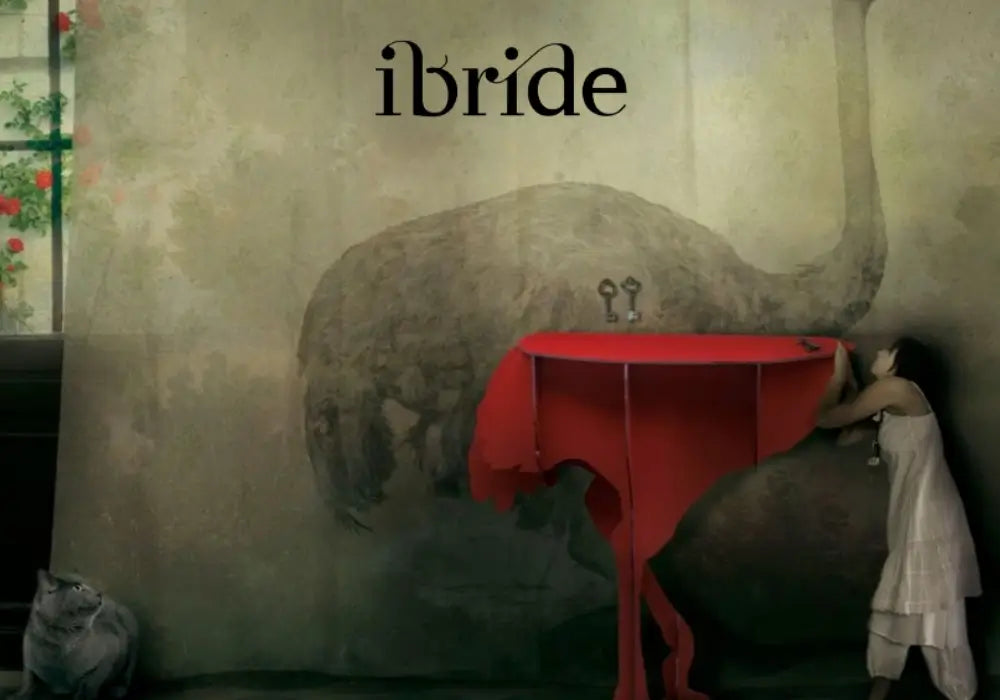 Discovering the Essence of Ibride: A Blend of Art and Design